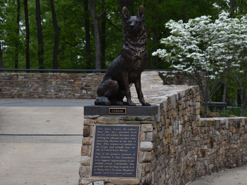 TOH Memorial - k9140
